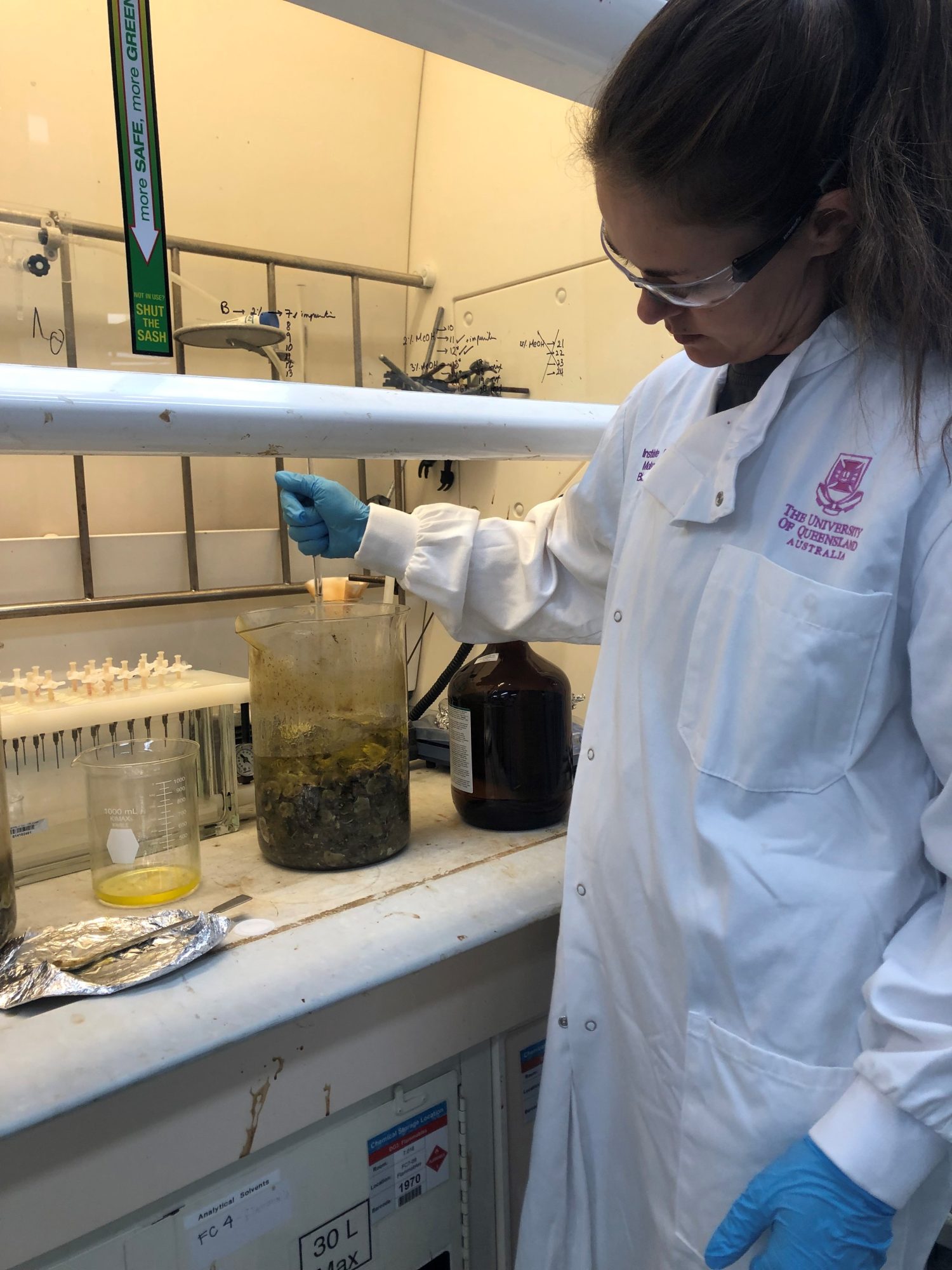 Capricorn Caves' Innovative Approach to Managing the Cane Toad ...